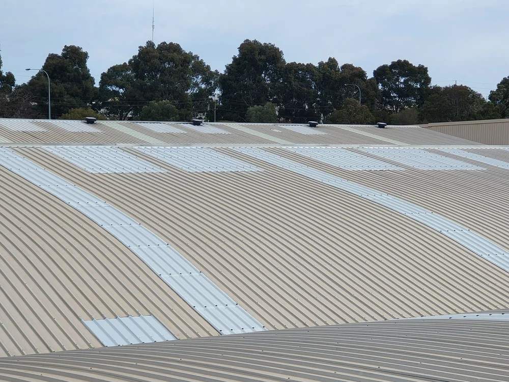 Good Sammy Canning Vale — Delta Roofing | Perth Roofing Contractors