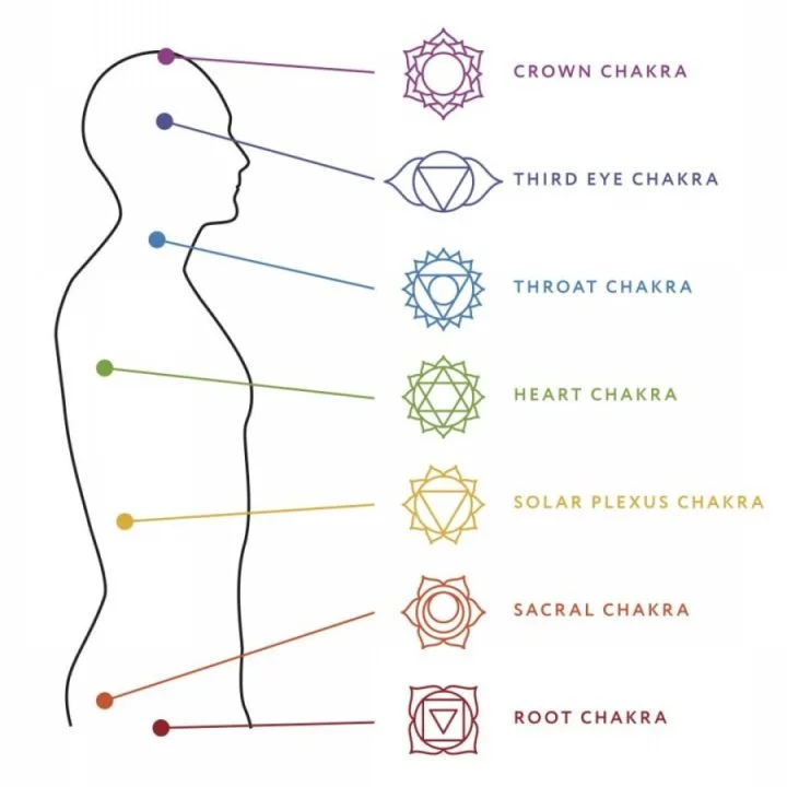 Understand the chakra System — Sacha Stewart
