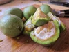 Homemade Nocino — Rooted Food