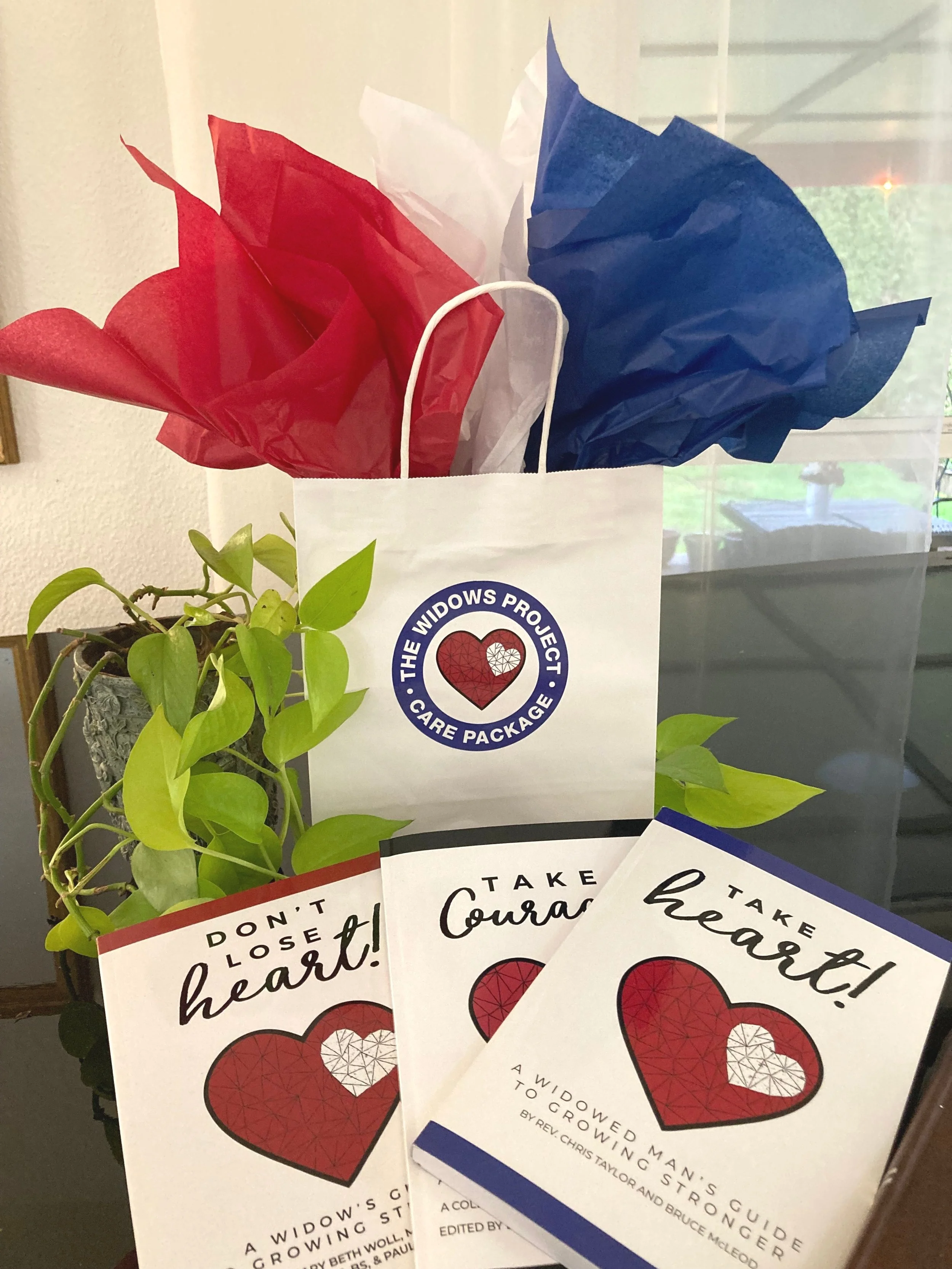 Store — The Widows Project