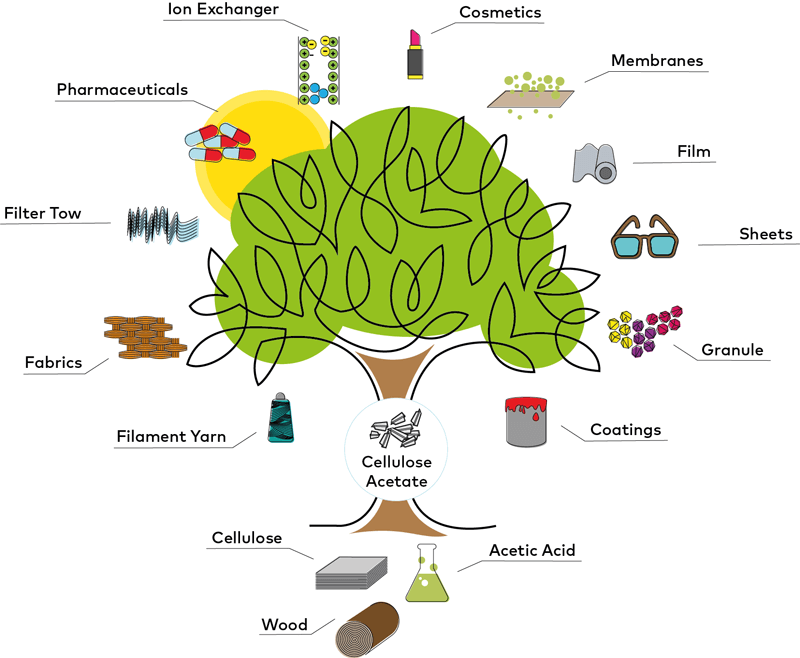 Cellulose Acetate — Cerdia