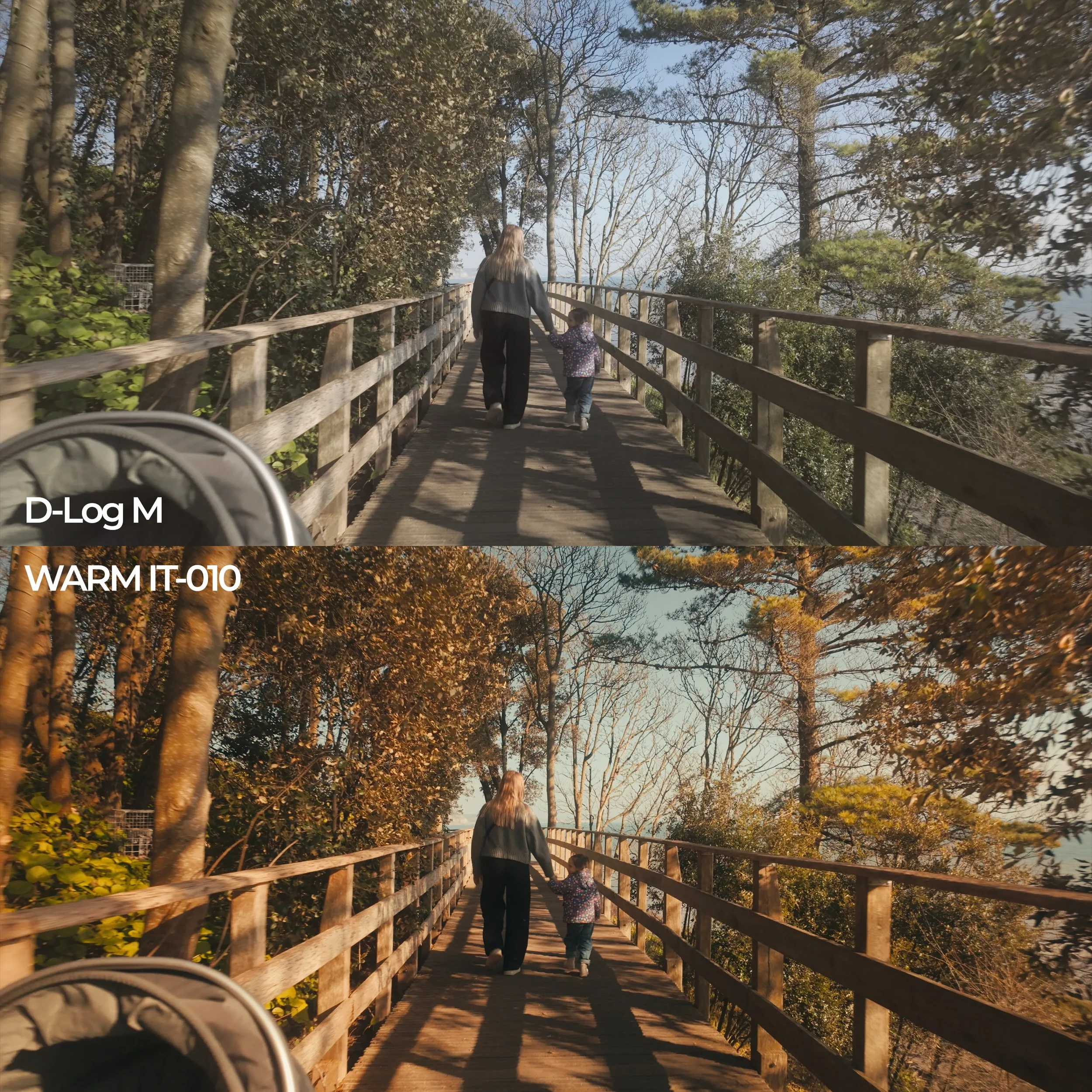 DJI OSMO Pocket 3 LUT - "ORIGINAL LUT PACK" — JLewisCreative