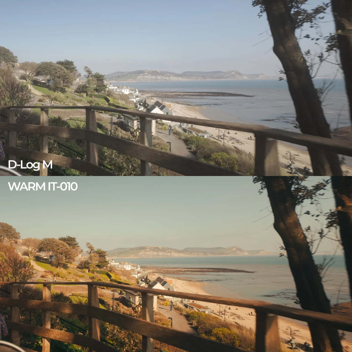 DJI OSMO Pocket 3 LUT - "ORIGINAL LUT PACK" — JLewisCreative