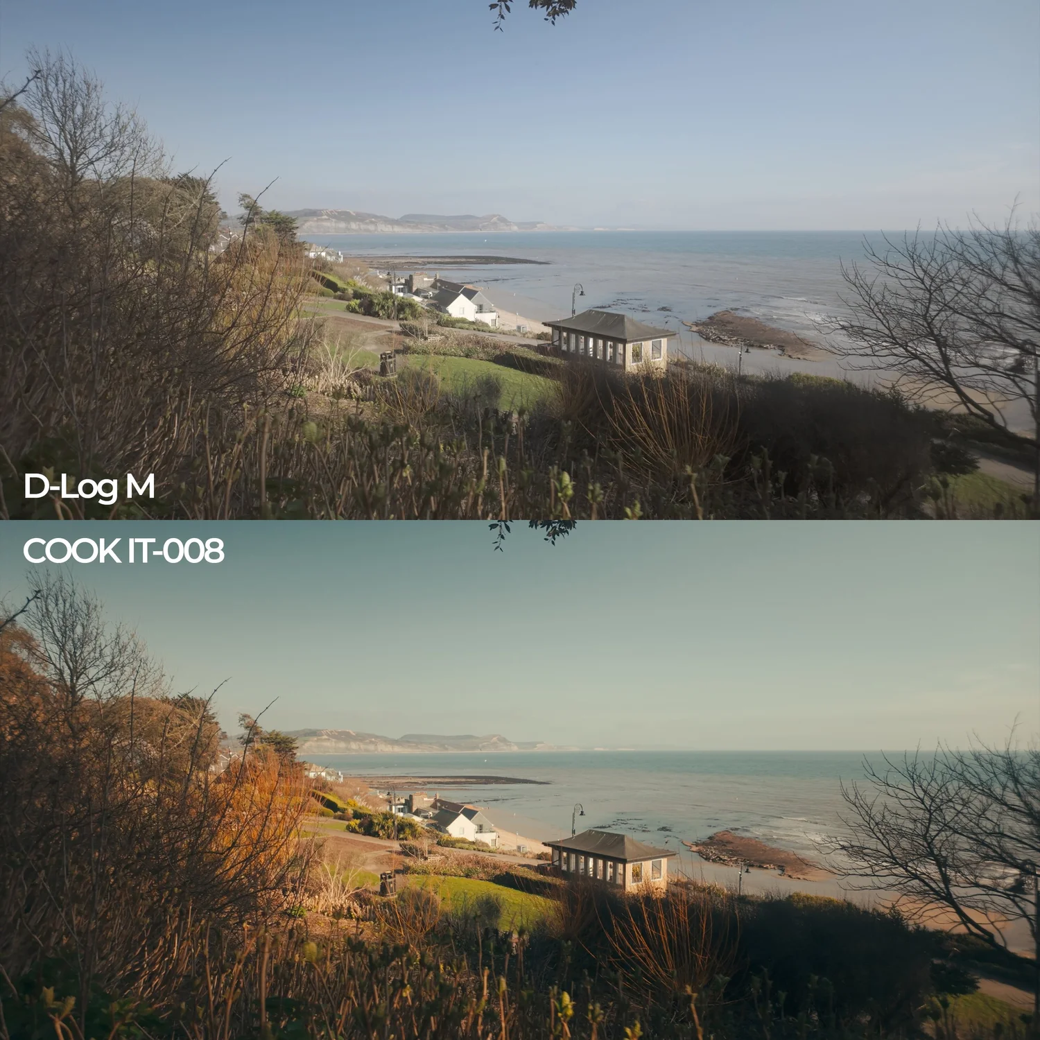 DJI OSMO Pocket 3 LUT - "ORIGINAL LUT PACK" — JLewisCreative