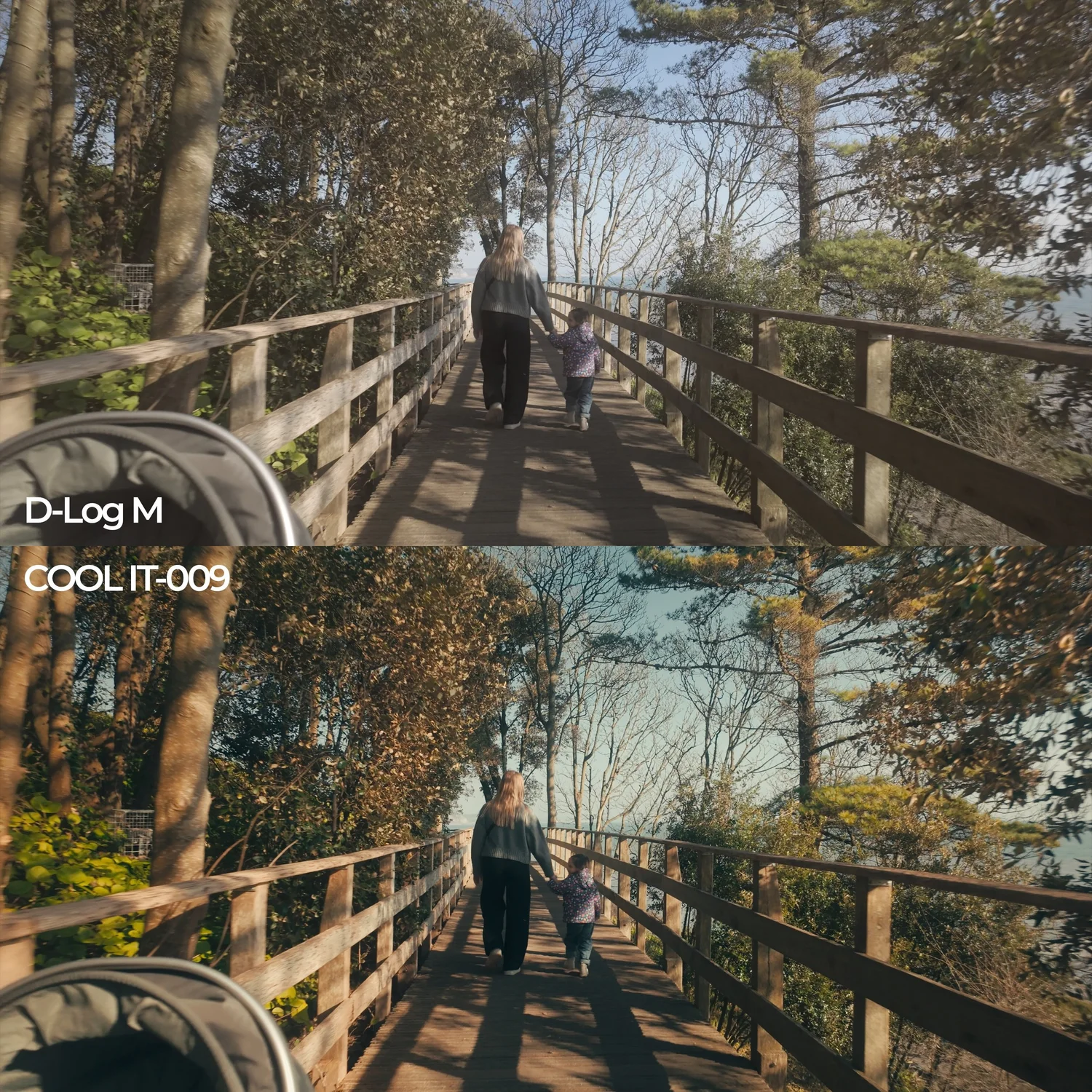 DJI OSMO Pocket 3 LUT - "ORIGINAL LUT PACK" — JLewisCreative
