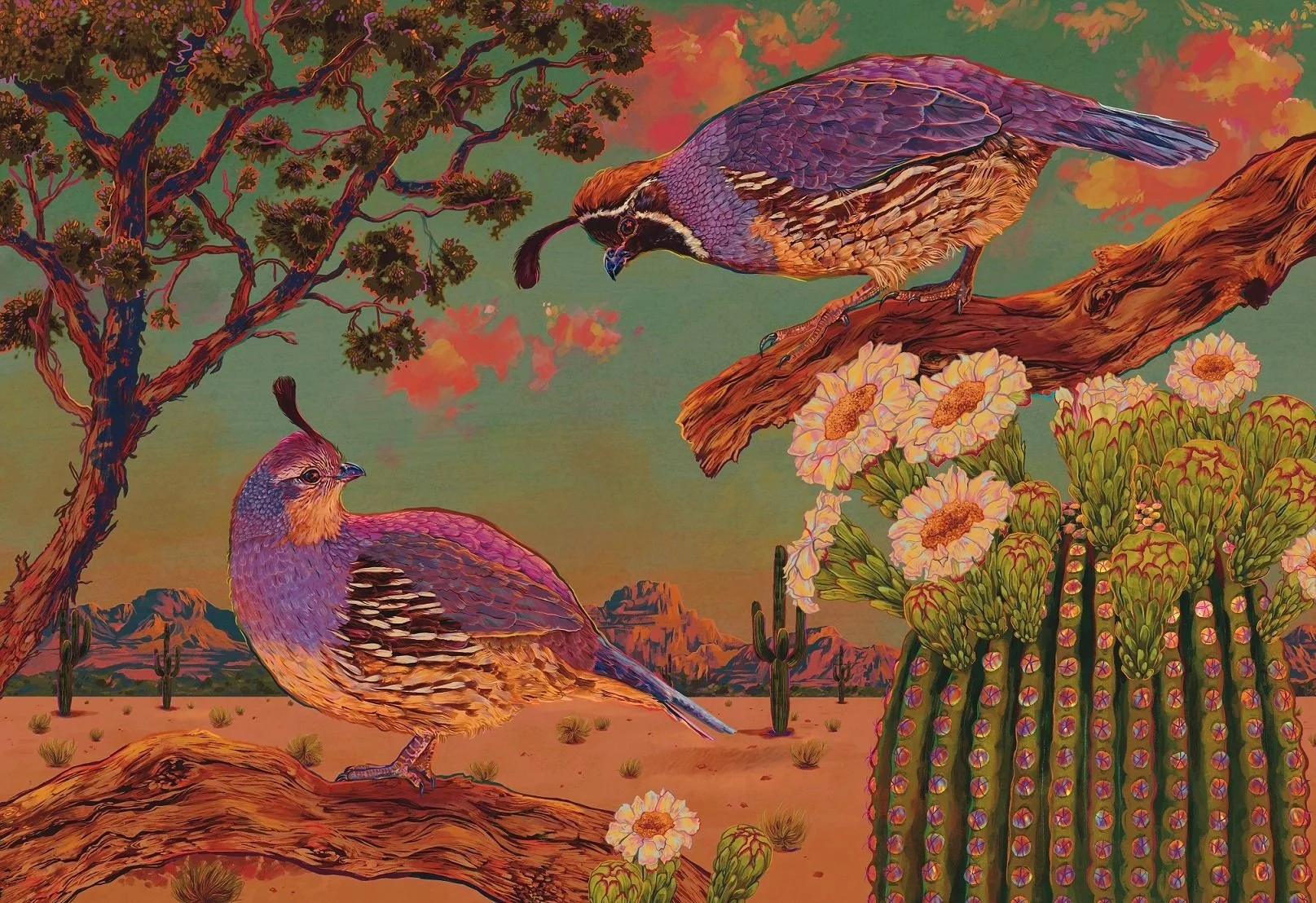 Alicia Harrod Illustration