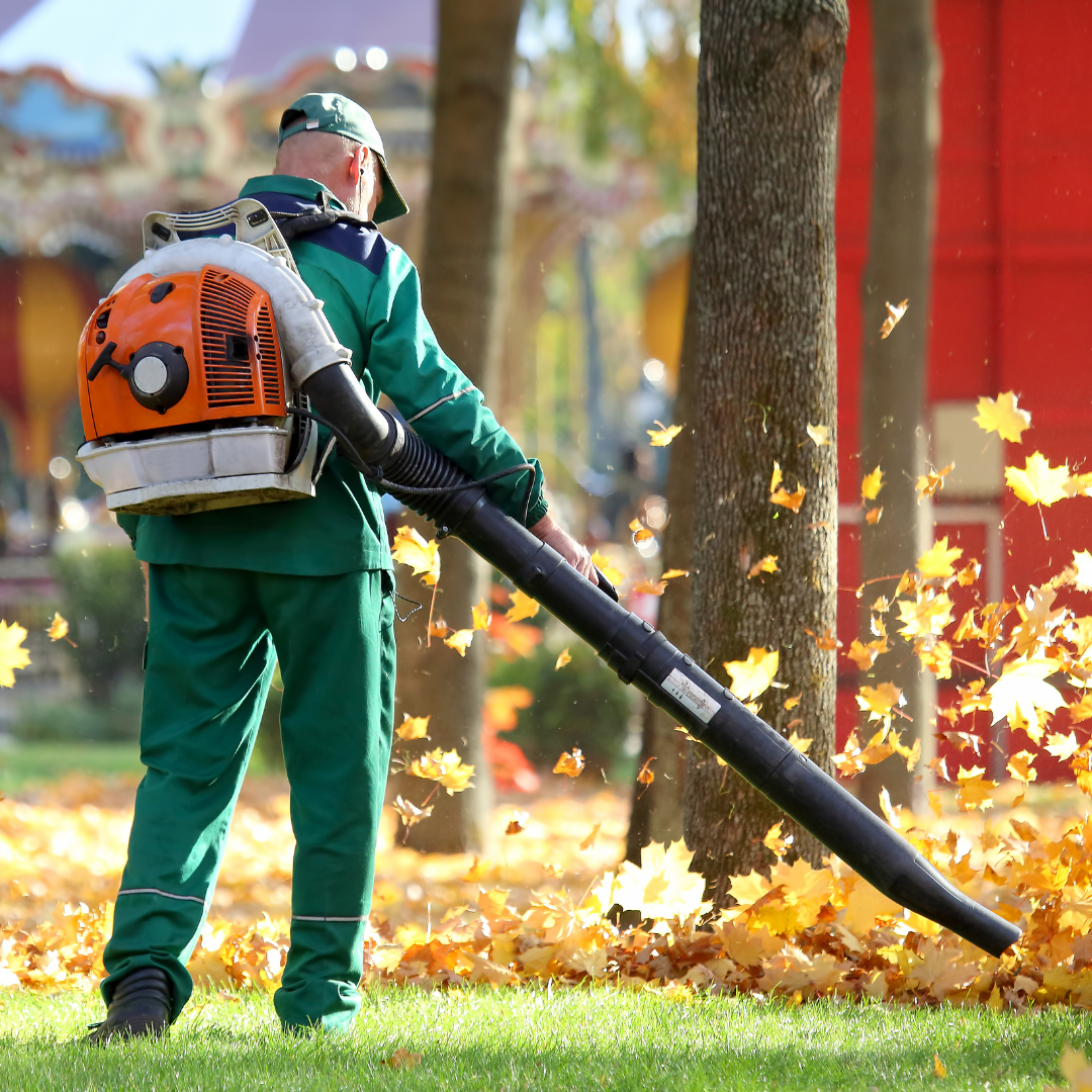 Professional Lawn Care Services and Maintenance - Simplex Lawn Care