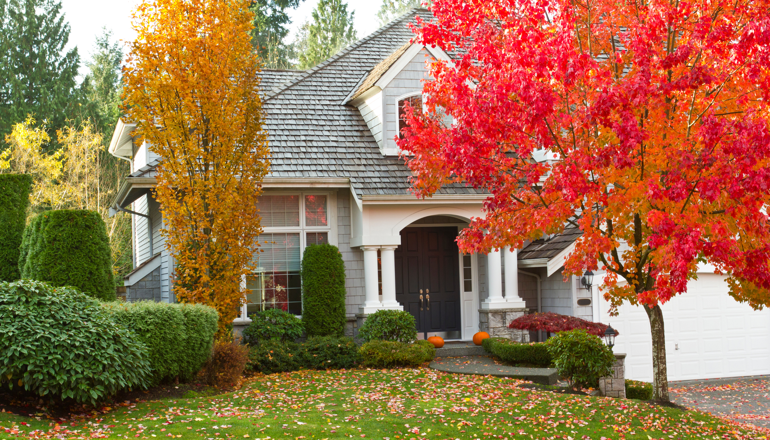 Fall Lawn Maintenance Tips for Minnesota Homeowners — Local Lawn Care ...