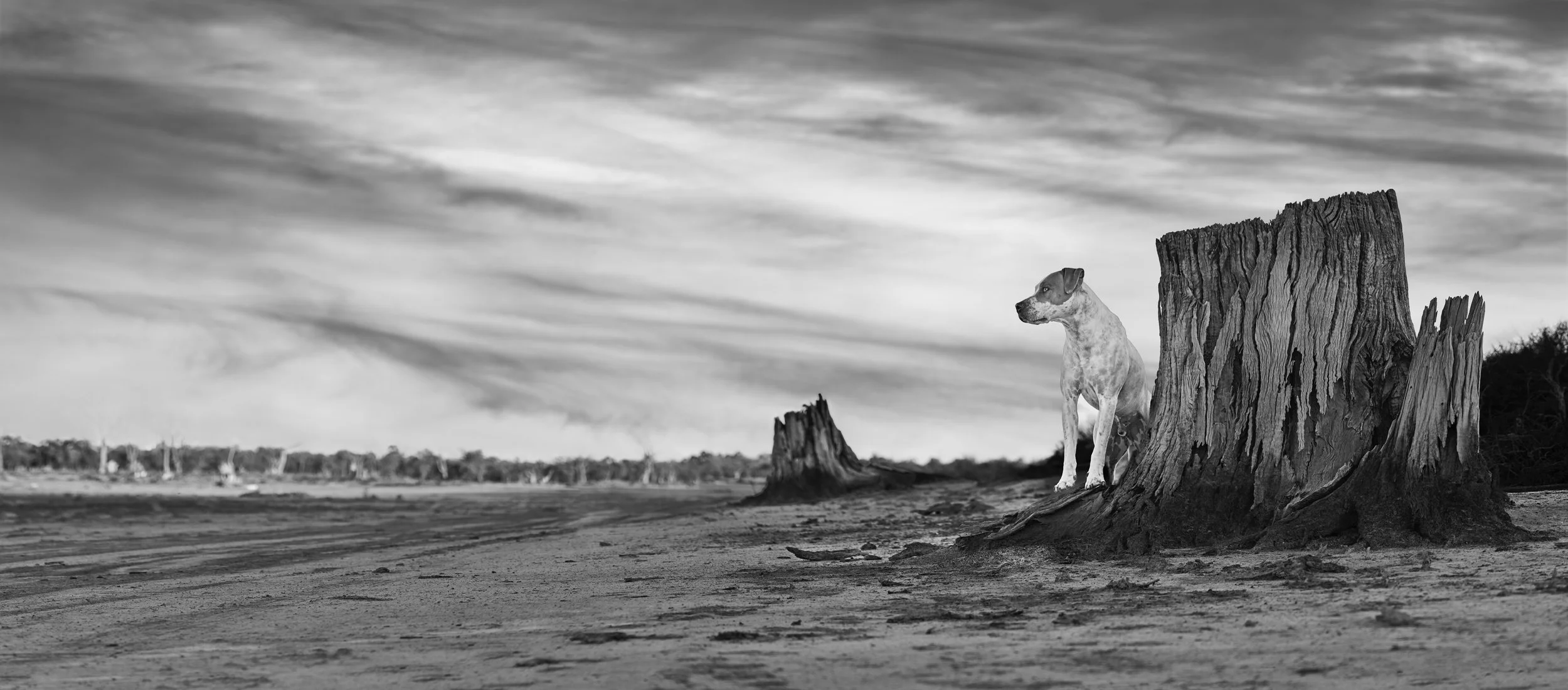 Kim Cofield Photography in Mildura