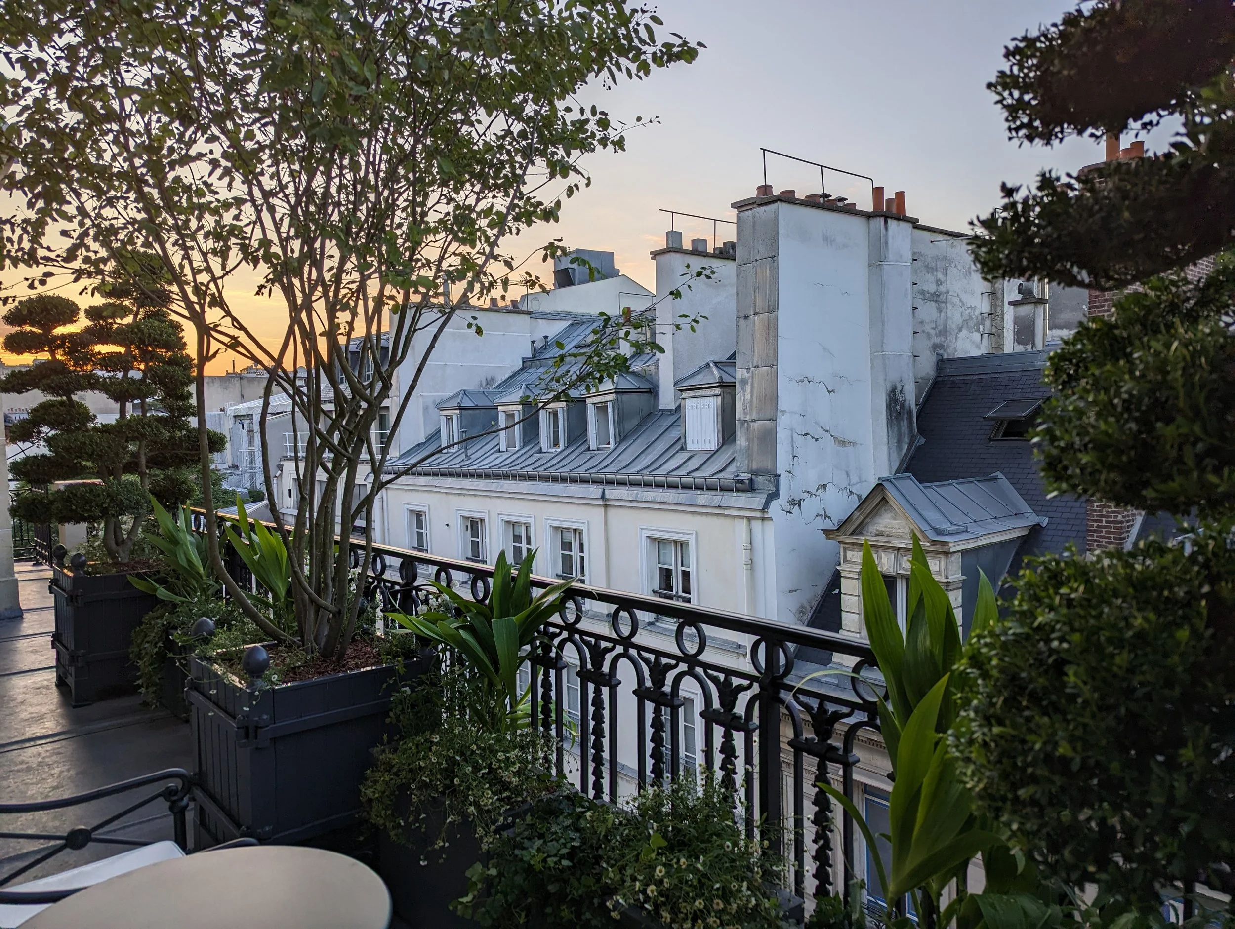 Jardin de Toit-Terrasse Haussmannien à Paris 7 | Simonson Landscape