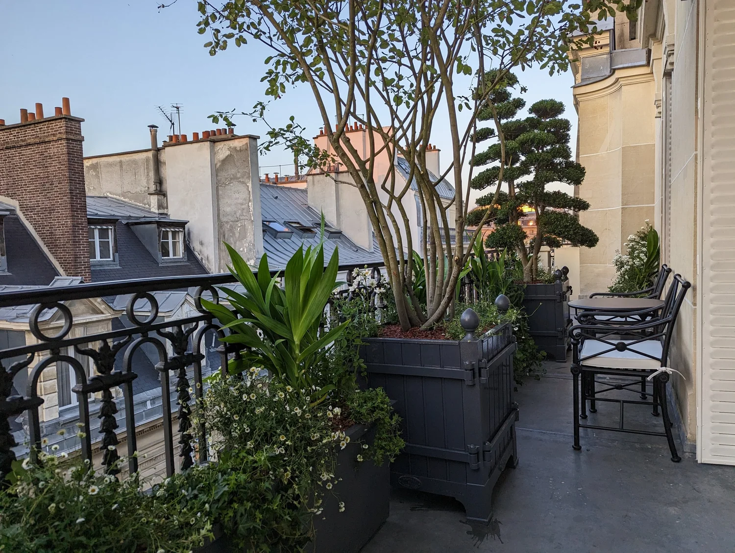 Jardin de Toit-Terrasse Haussmannien à Paris 7 | Simonson Landscape