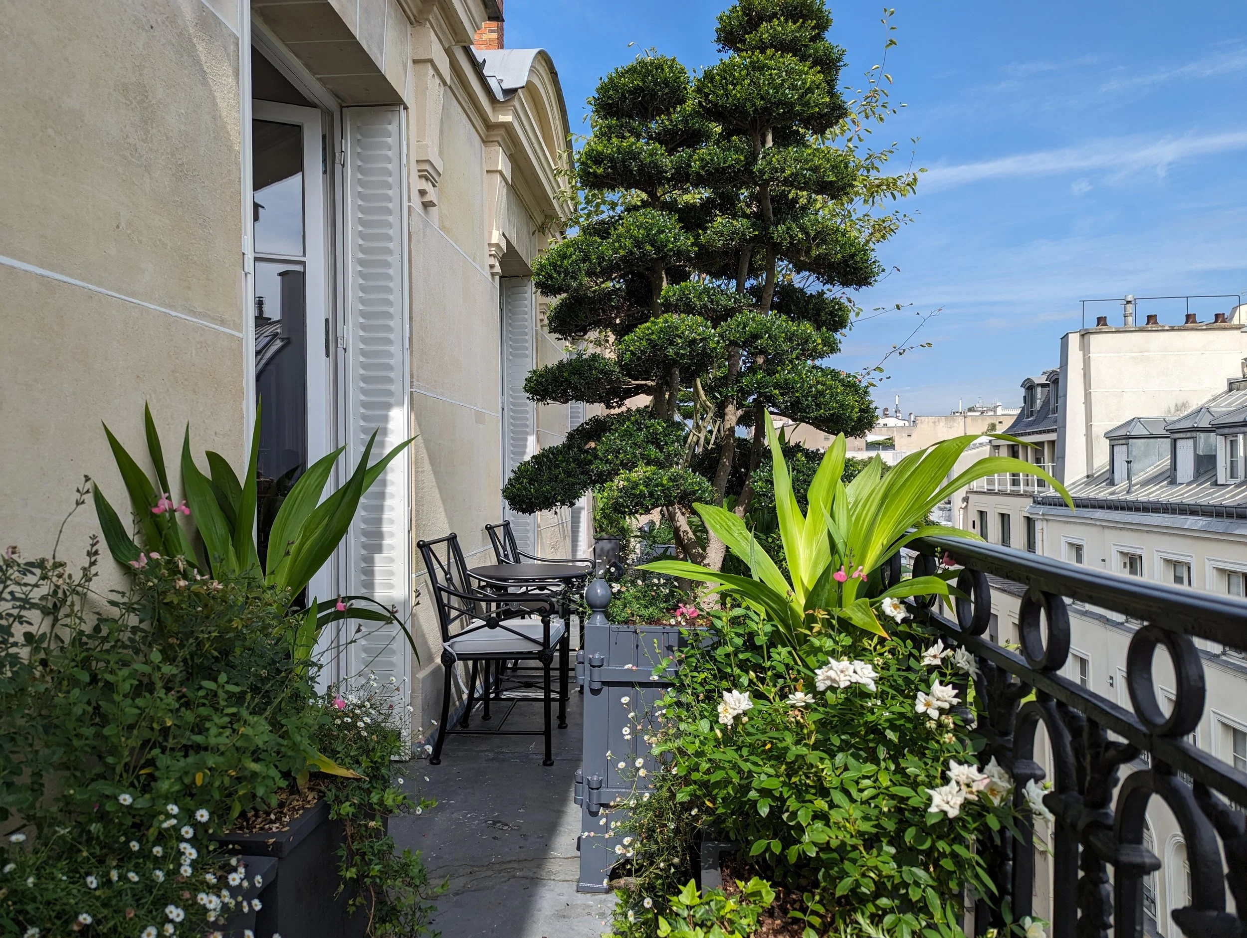 Jardin de Toit-Terrasse Haussmannien à Paris 7 | Simonson Landscape