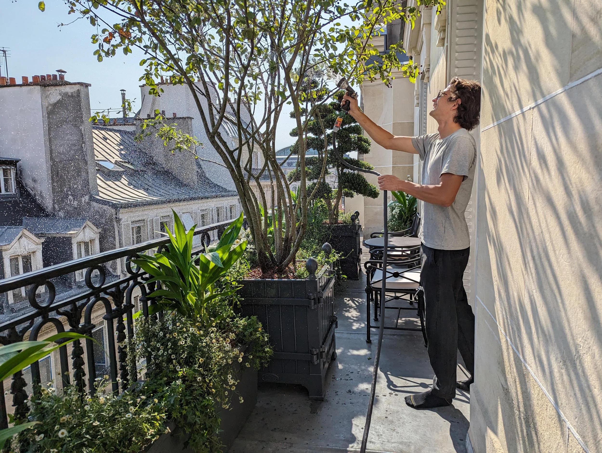 Jardin de Toit-Terrasse Haussmannien à Paris 7 | Simonson Landscape
