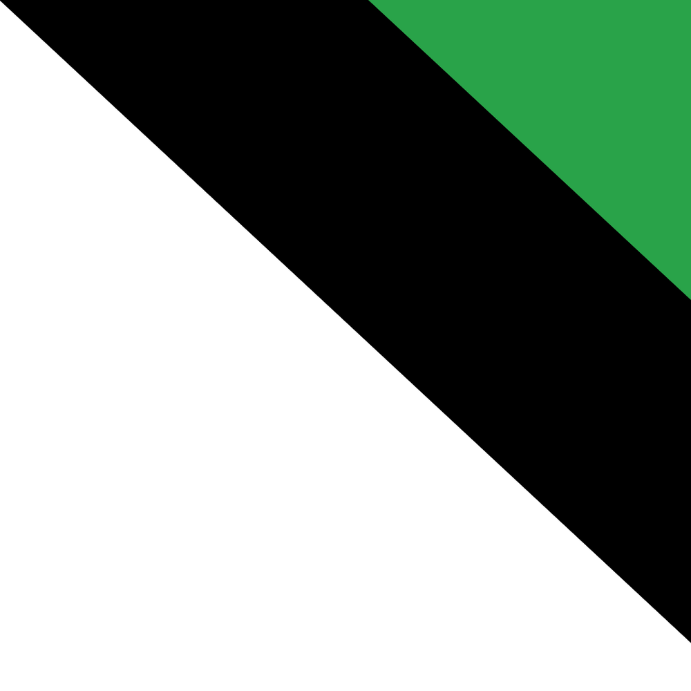 ADUSA — JMG