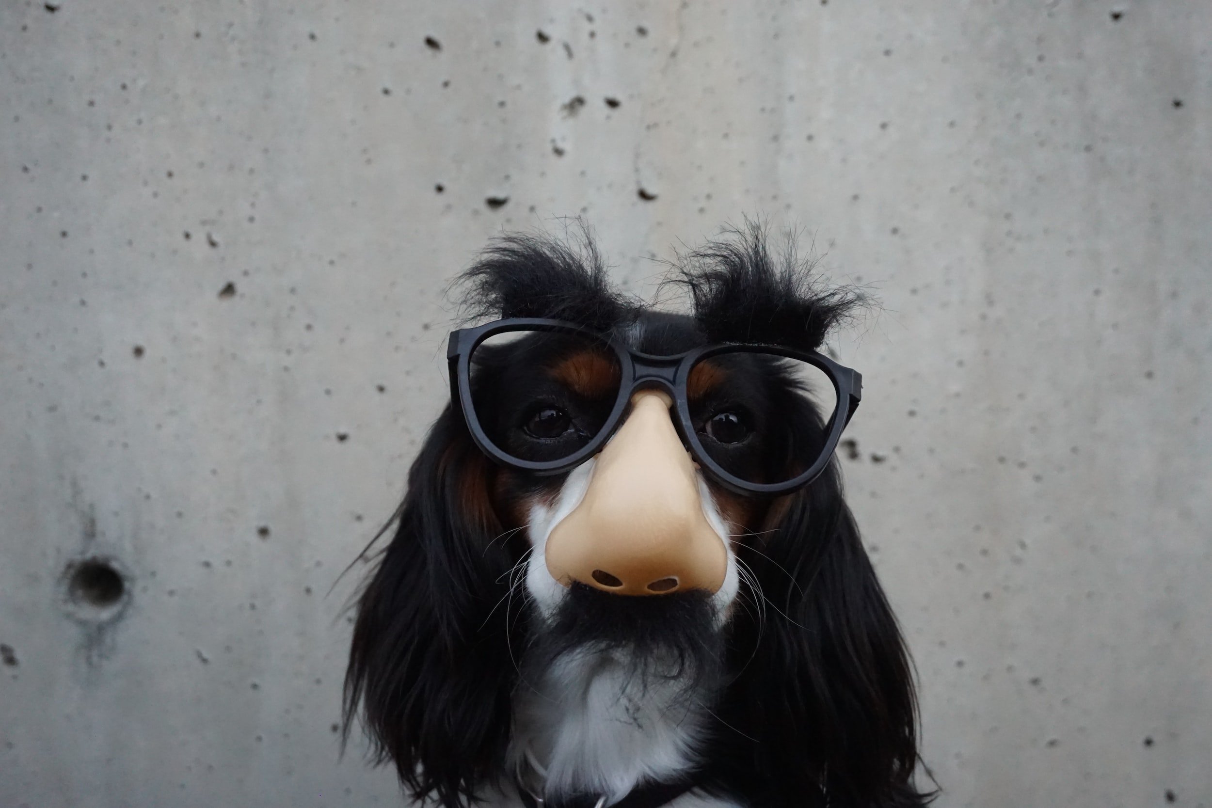 The Virtue of Building a Pleasing Personality — KathieOwen.com
