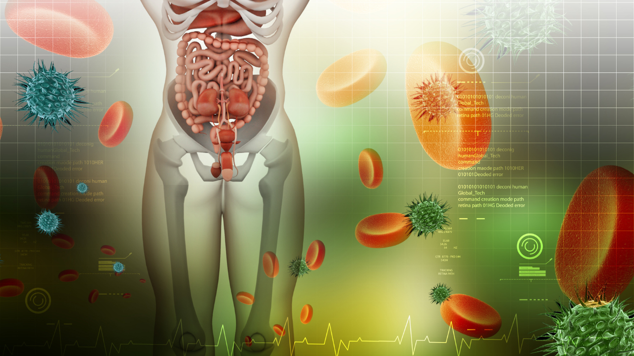 Digestive Enzymes — KathieOwen.com