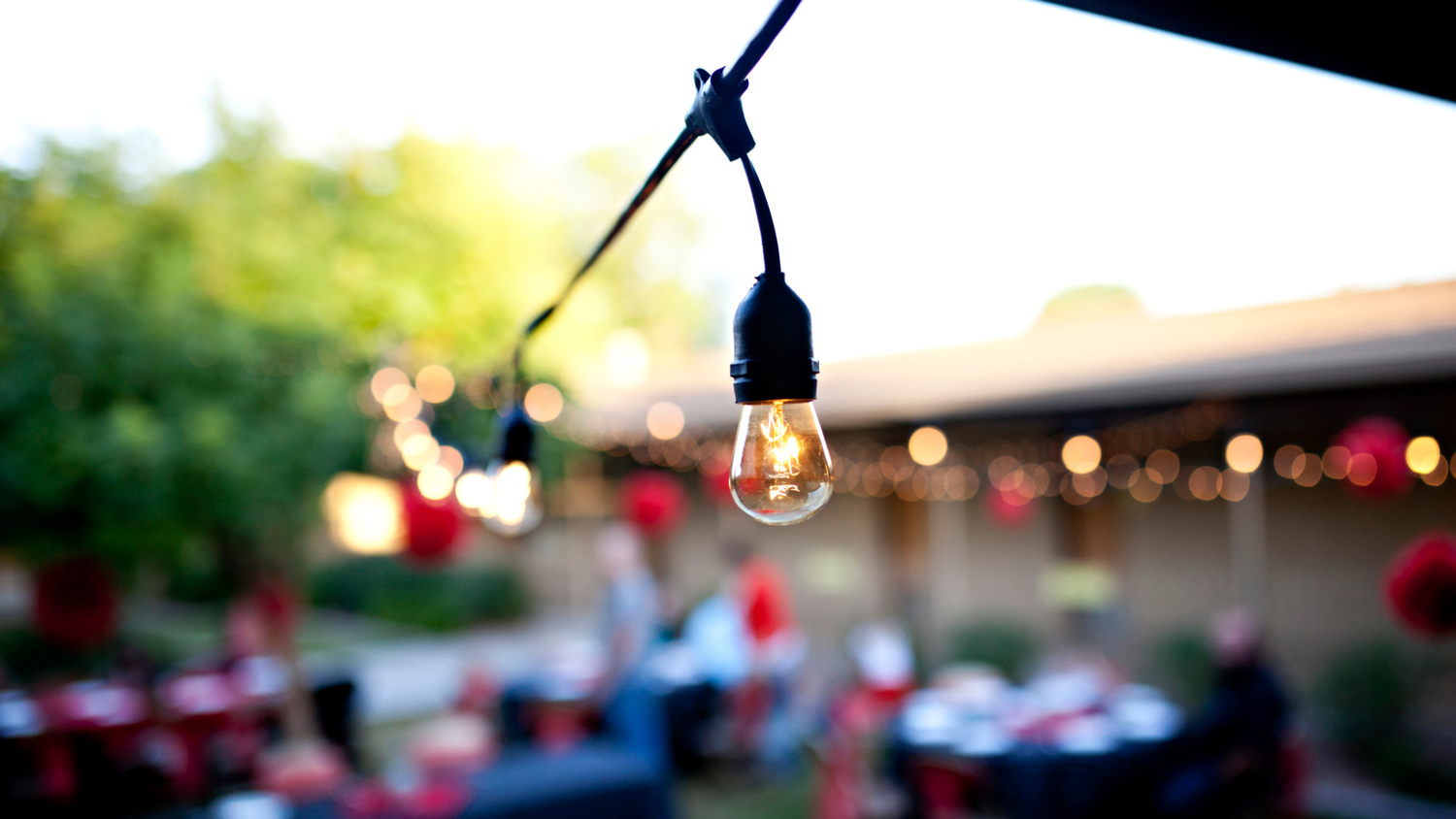 The Extra Mile Mindset: How a Commitment to Excellence Creates Success ...