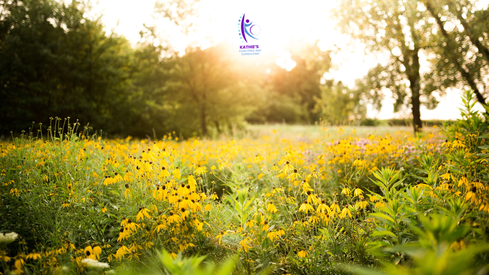 How Prioritizing FLOW Changed Everything — KathieOwen.com