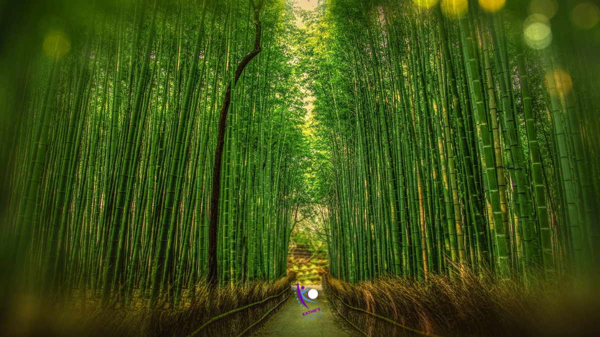 The Bamboo Method: Empowered Boundaries with StephSpeaksLove — KathieOwen.com