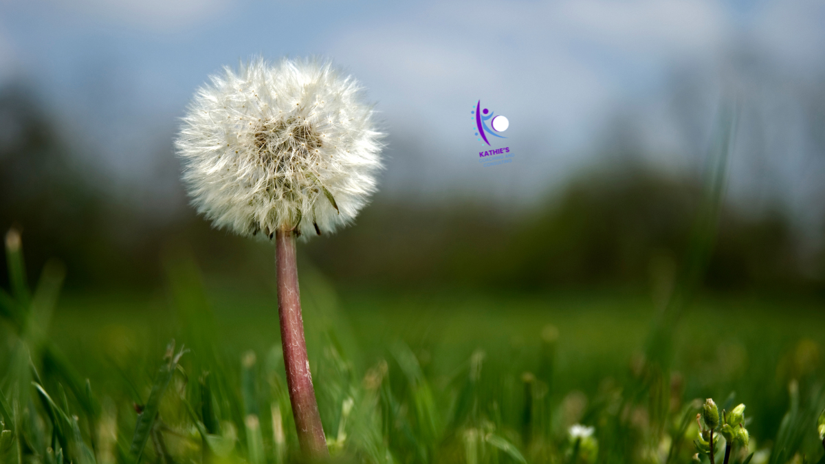 Navigating Life's Rapids: A Guide to Reality Transurfing Principles ...