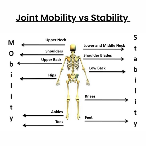 Blog — Empower Physical Therapy Bellingham