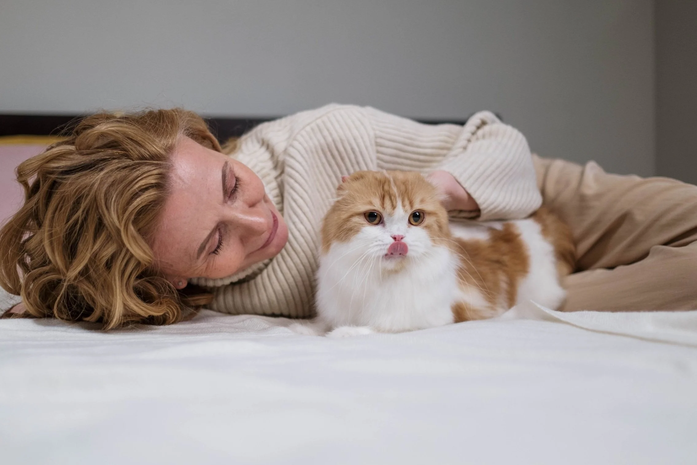 A Insurance Agencies