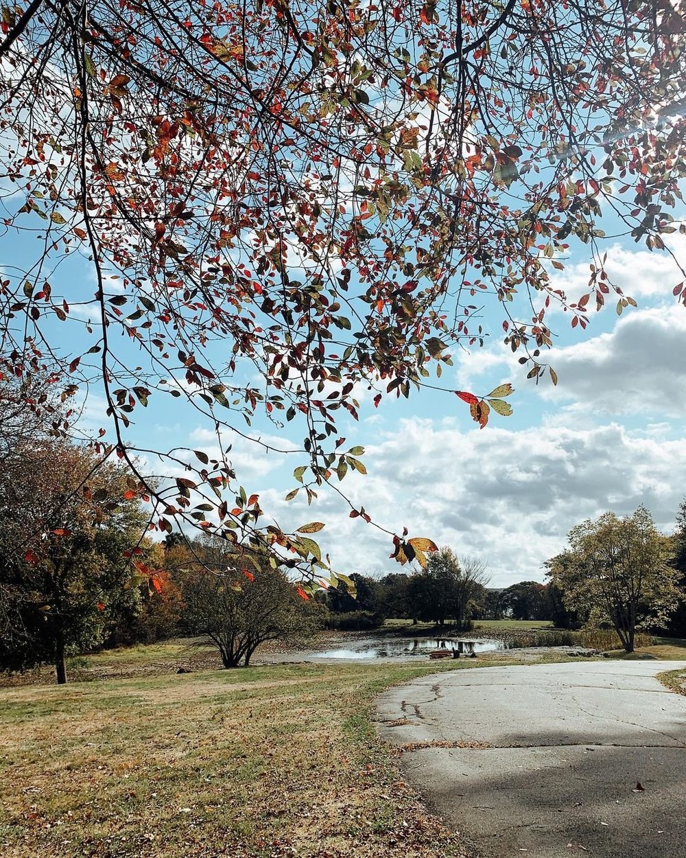 Celebration Grove | Create Lasting Memories — Join Today — Mount Hope Farm