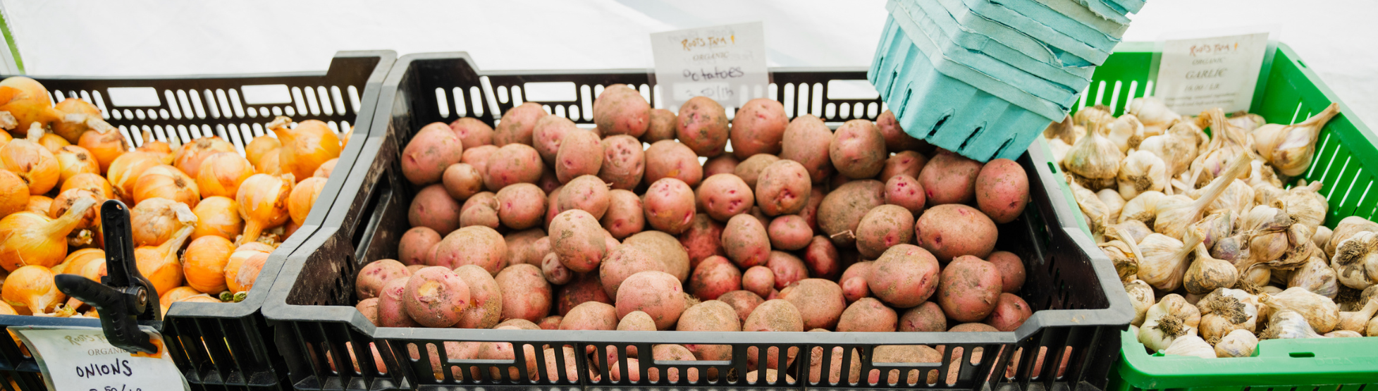 Farmers Market | Discover Local Freshness – Shop Now — Mount Hope Farm