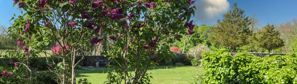Walking Tour | Explore History, Walk Today — Mount Hope Farm