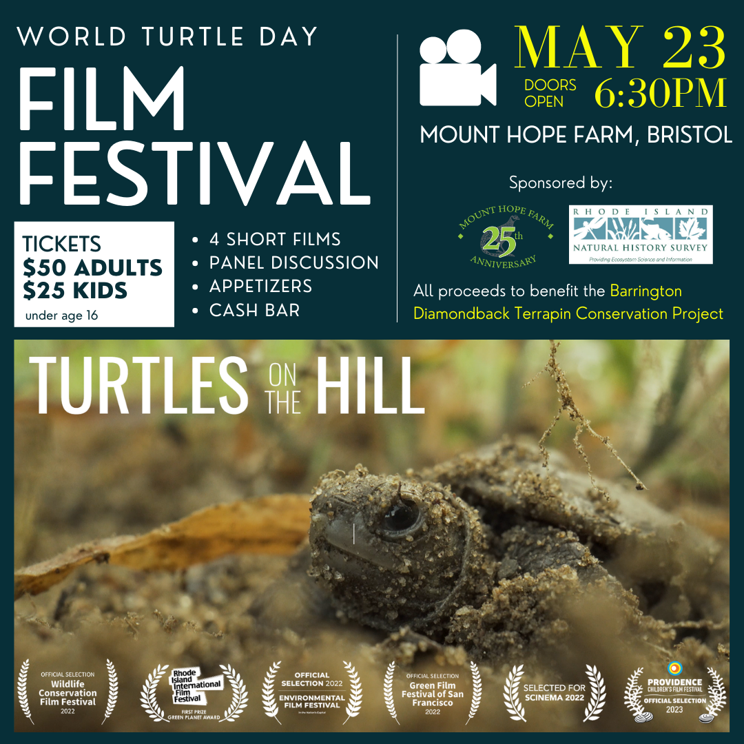 World Turtle Day Film Festival — Mount Hope Farm