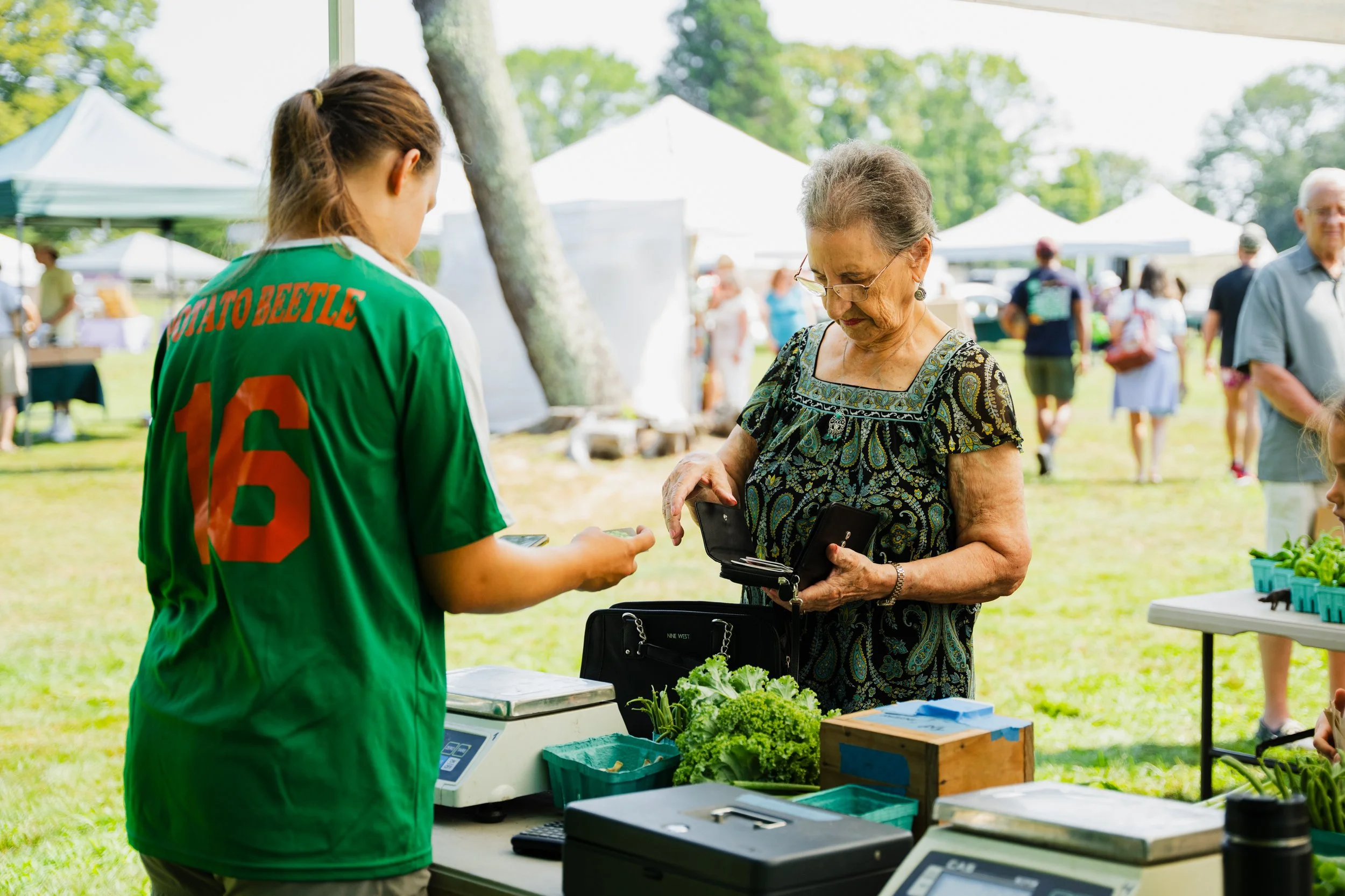 Farmers Market | Discover Local Freshness – Shop Now — Mount Hope Farm