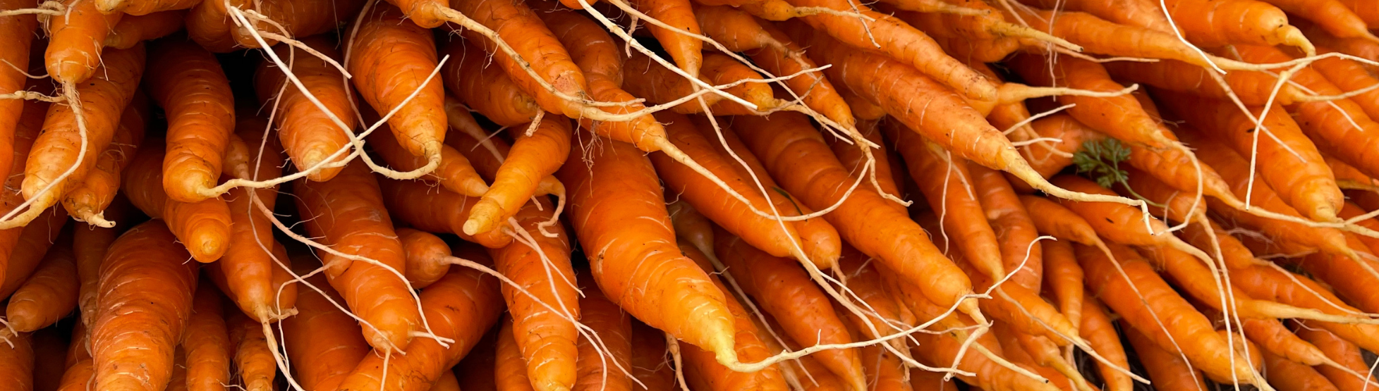 Farmers Market — Mount Hope Farm