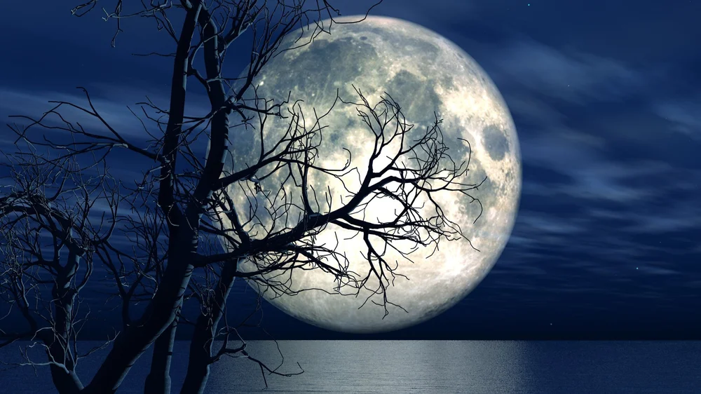 How To Set a Moon Dial on a Grandfather Clock — Master Clock Repair