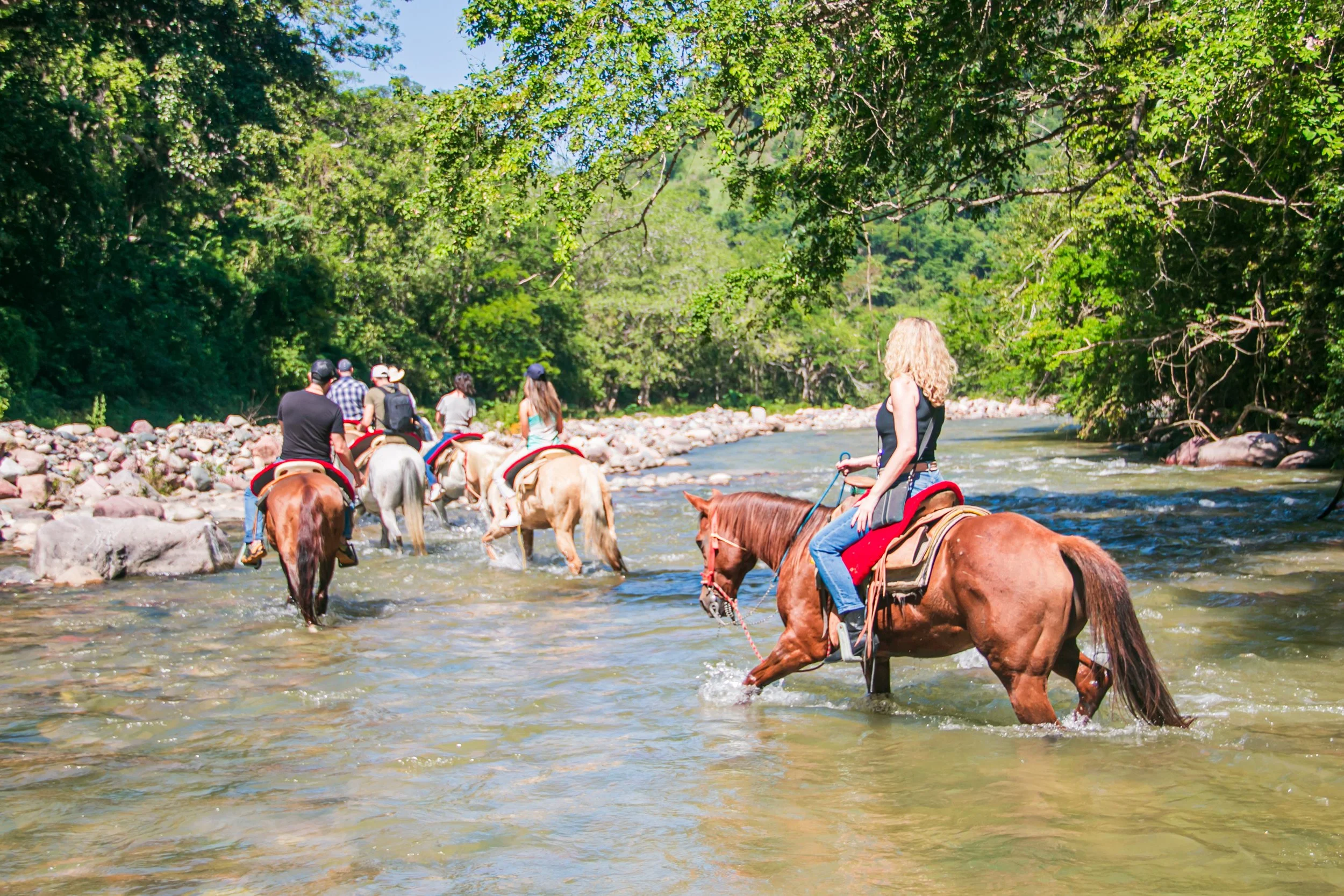 Wild Tour Horseback Ride — Rancho el Charro Horseback Riding in Puerto ...