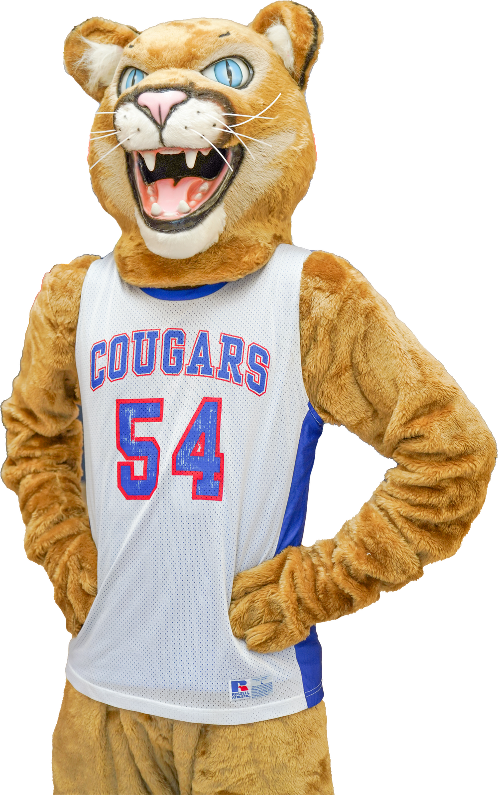 Lenawee Christian School | Learn More & Enroll Today
