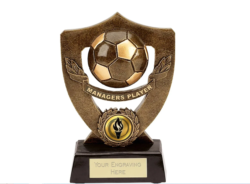 Managers Player Award 17.5cm (7") — Champ Trophies Awards | Engraved ...