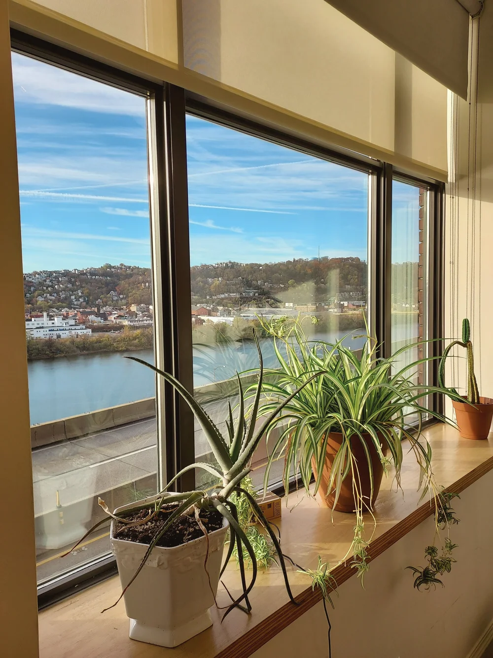 Glen Lake Pioneering