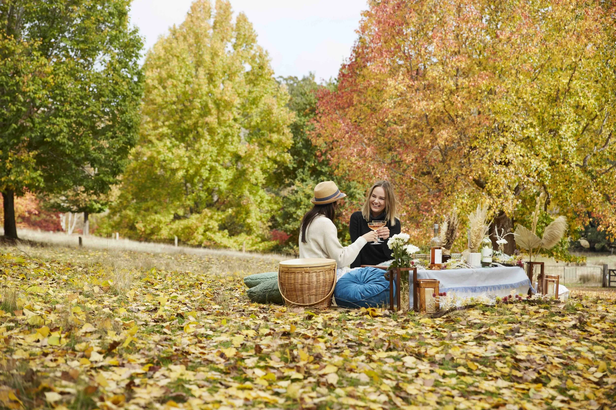 Picnic Cheer - Celebrate In Style