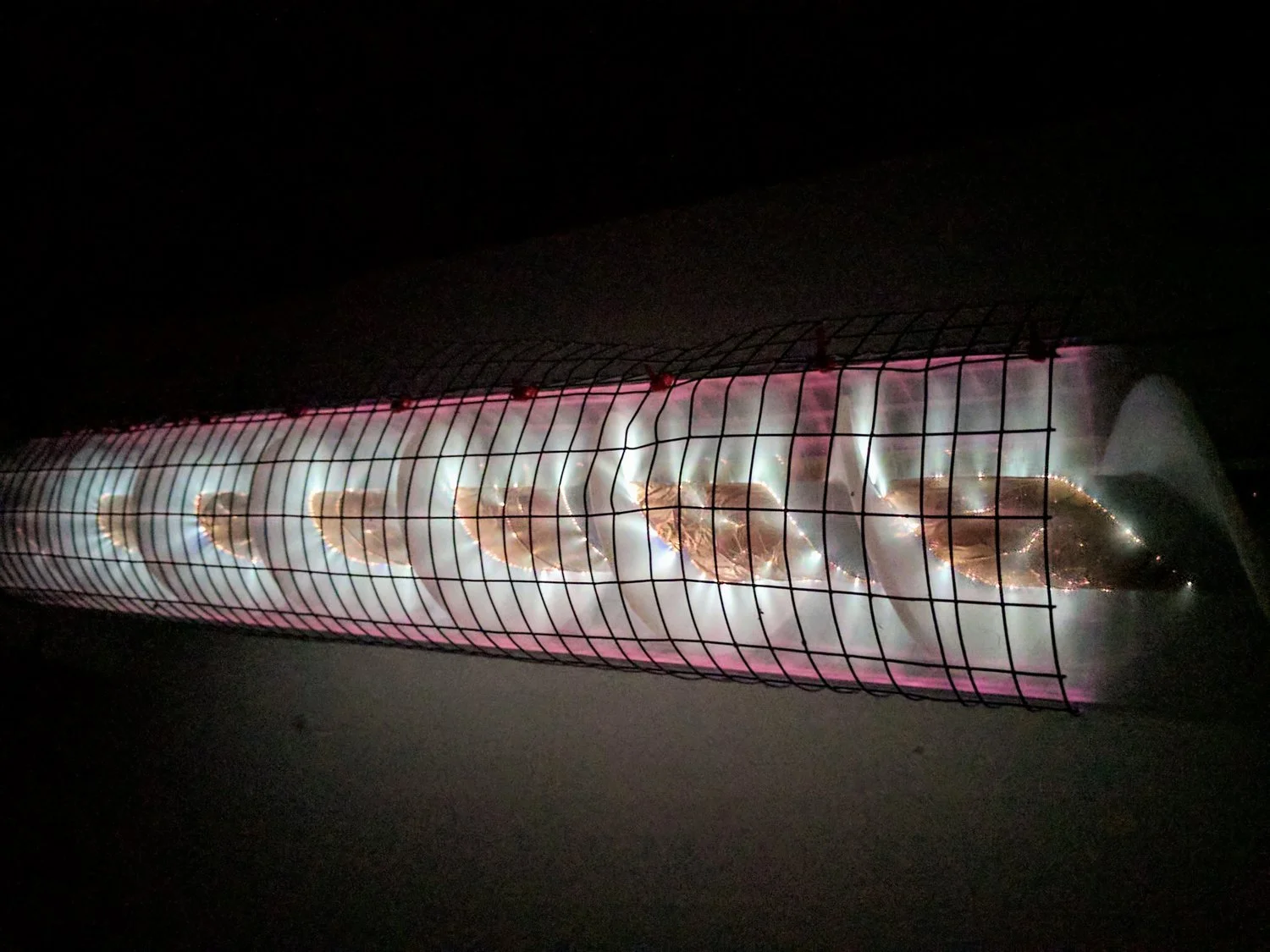 Research Products & Services — PlasmaLeap