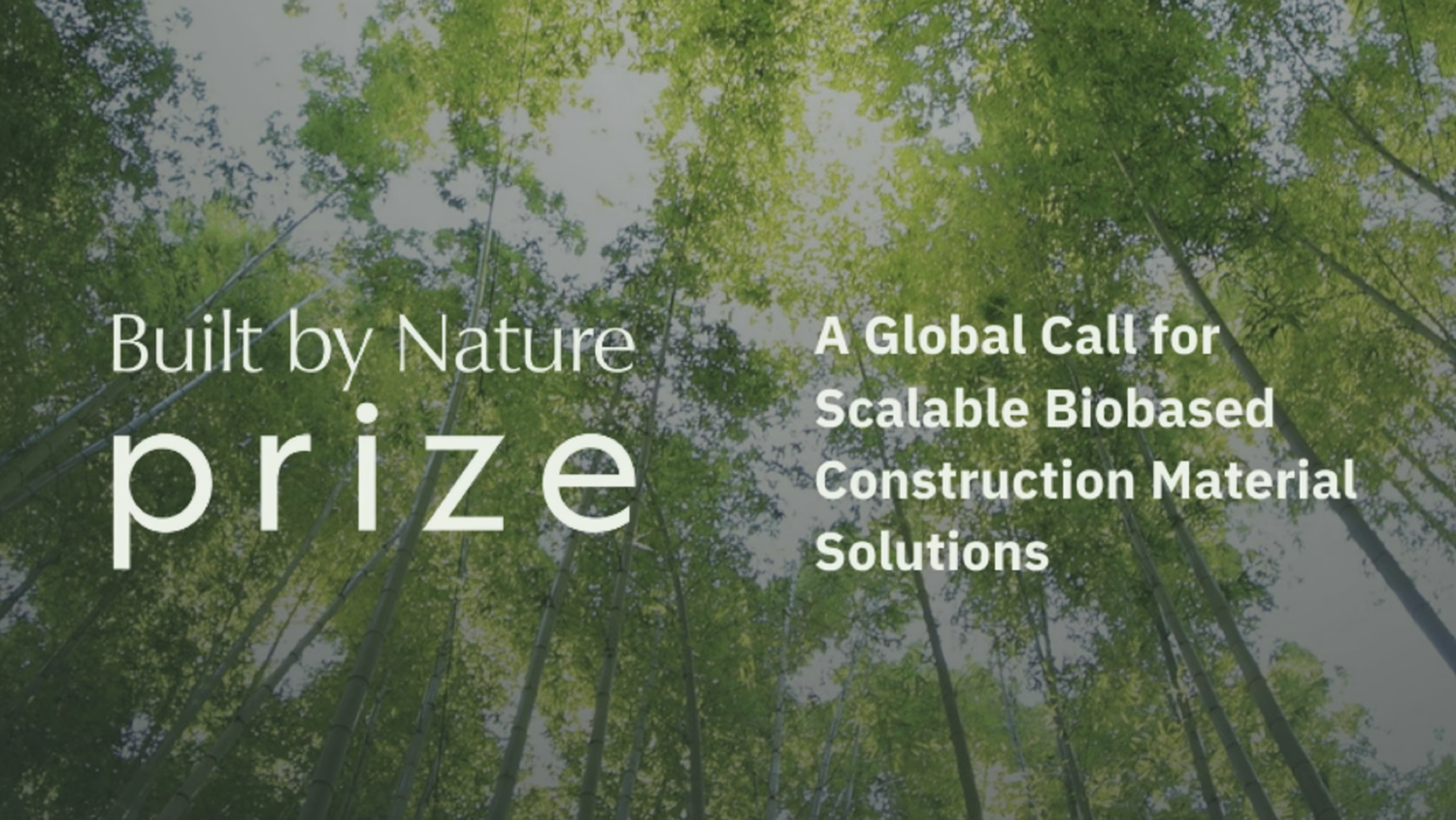 Built by Nature- A grand vision for the built environment — BIOMIMICRY ...