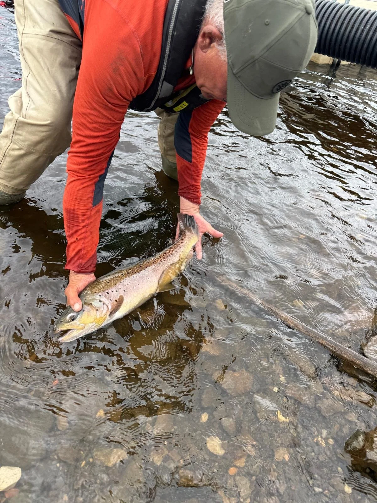 Ladybower Fisheries Ltd | Boat & Bank Trout Fishing UK
