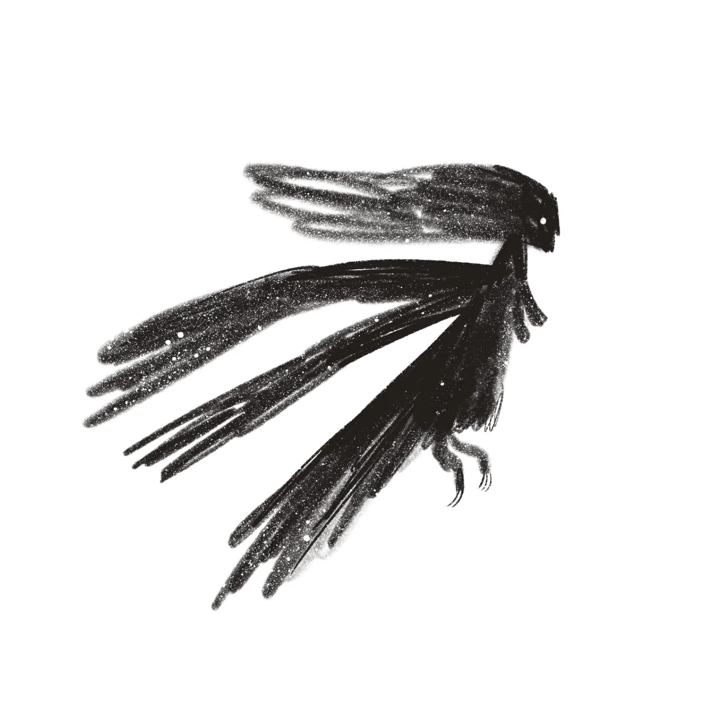 Hannah Peck Illustration