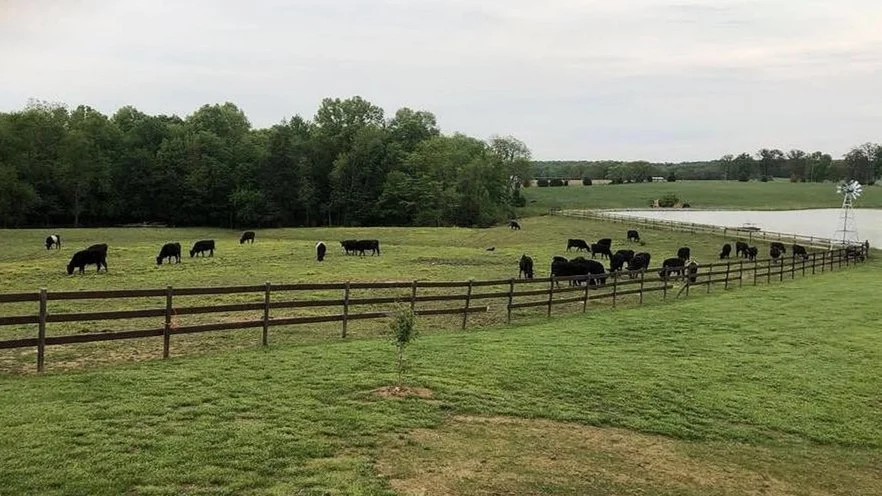 Higginson Farms