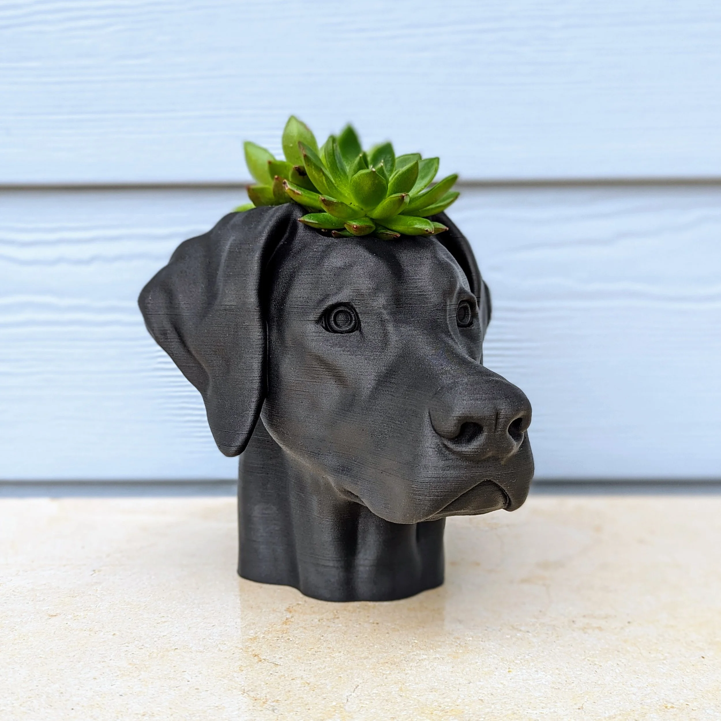 Shop — Fern Heights