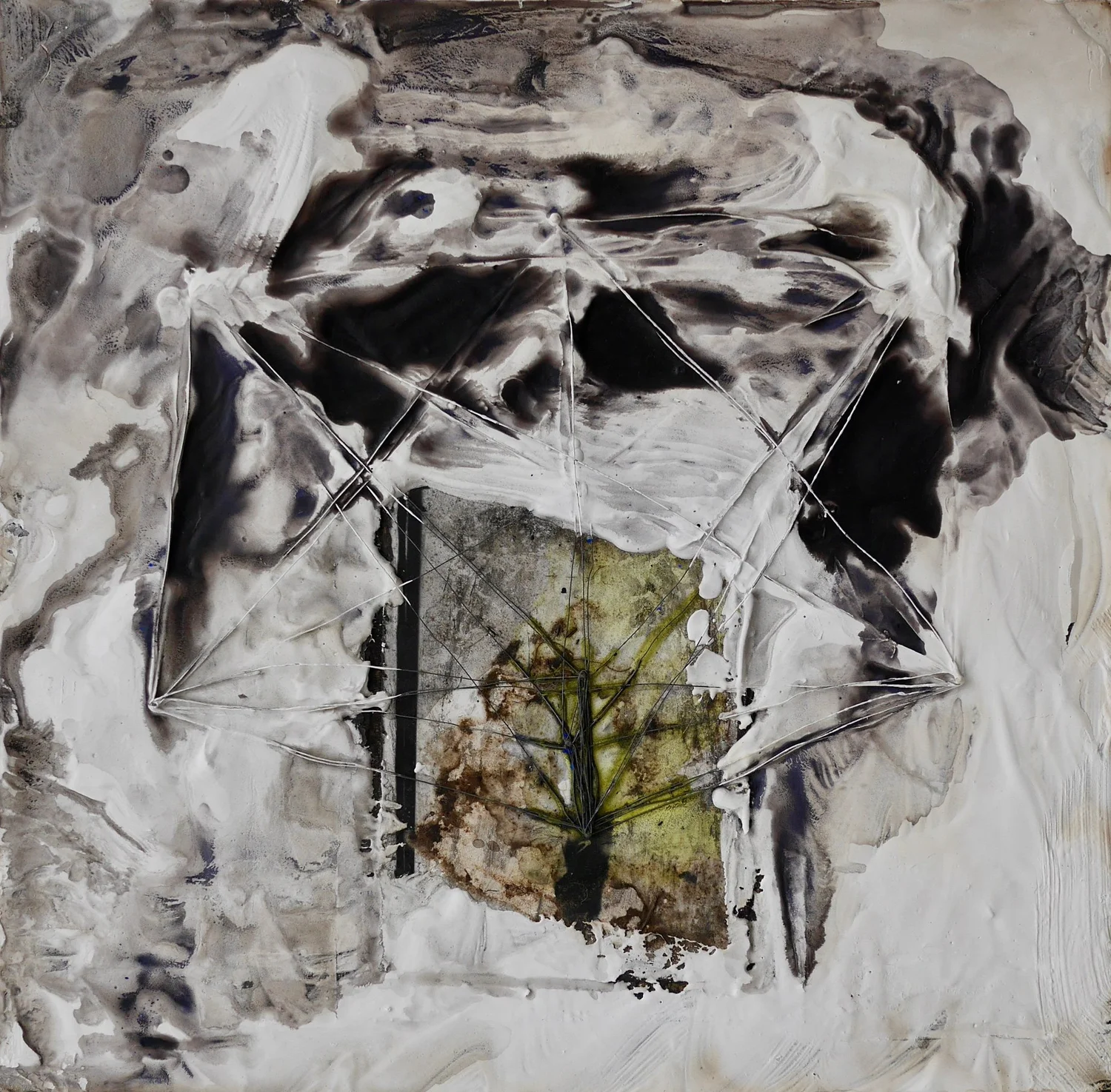 family tree — Stacey Lee Gee