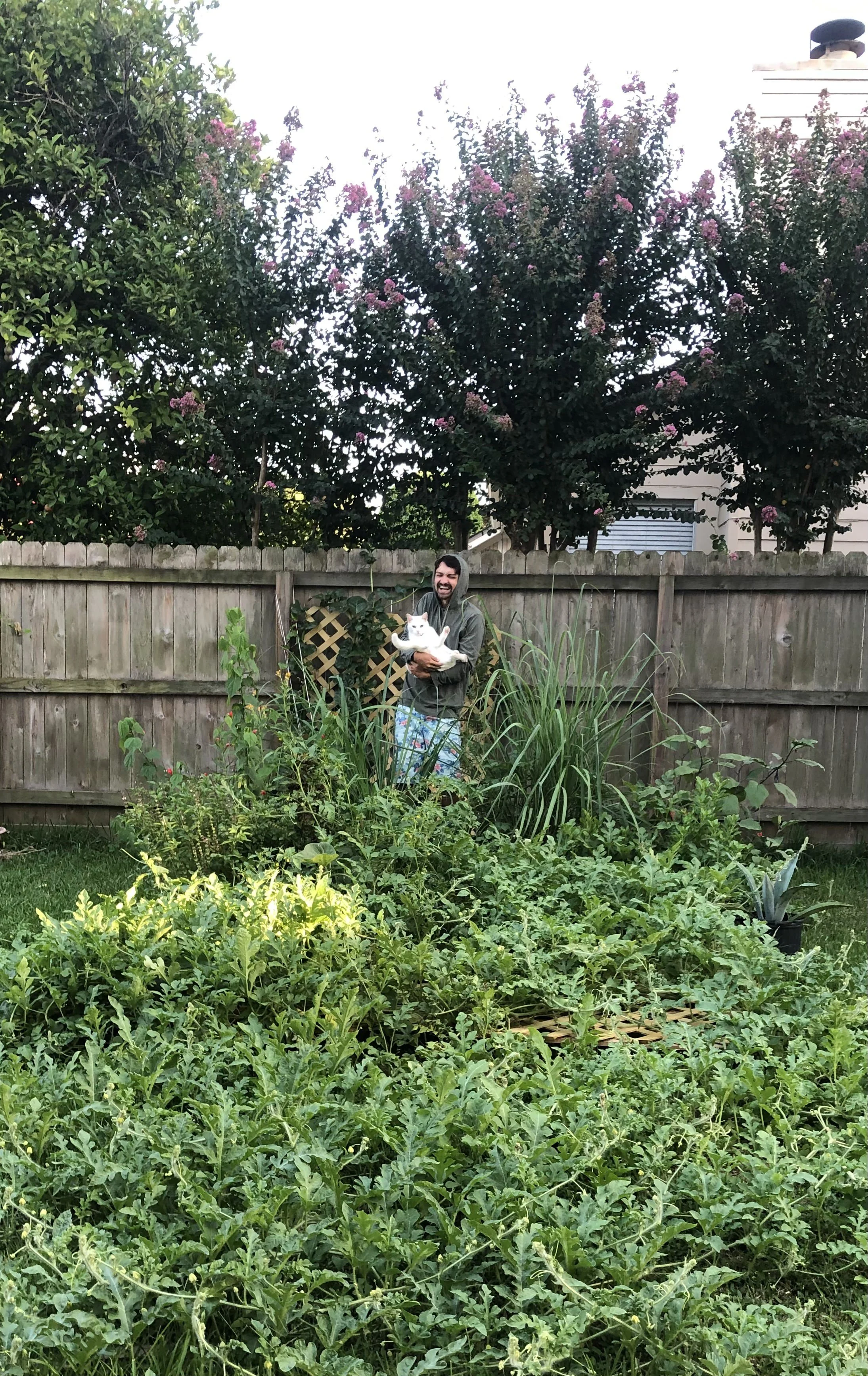 Brandon Bulls - Sound Designer