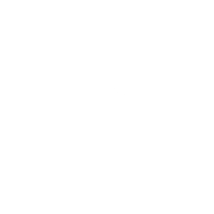 Haley Friedman College Consulting