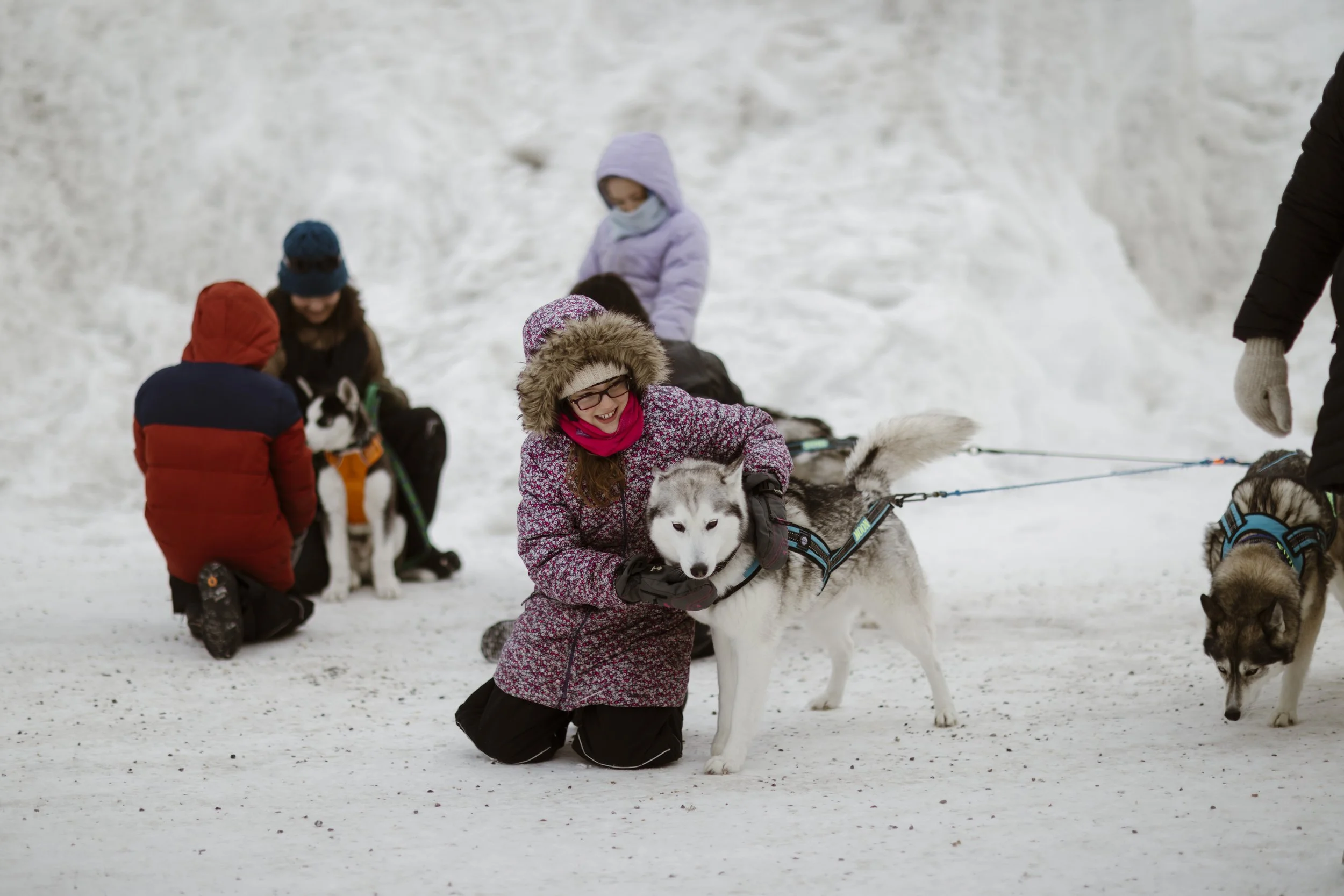 Mush For Kids — Alaska Children's Trust