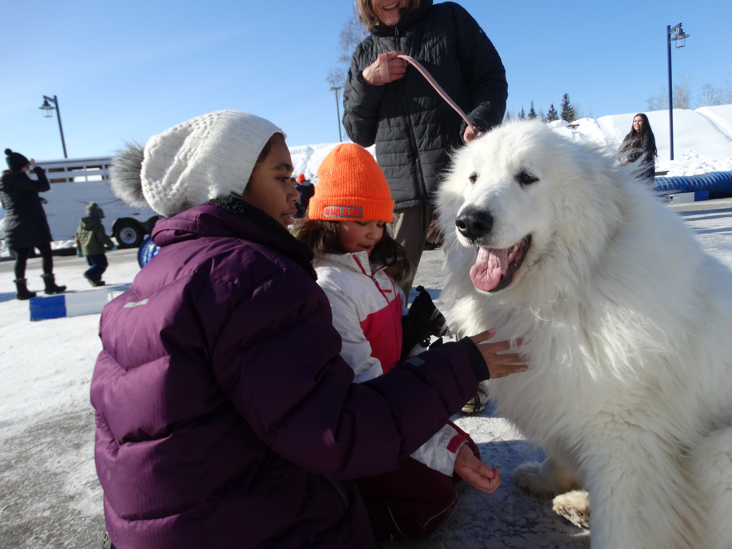 Mush For Kids — Alaska Children's Trust