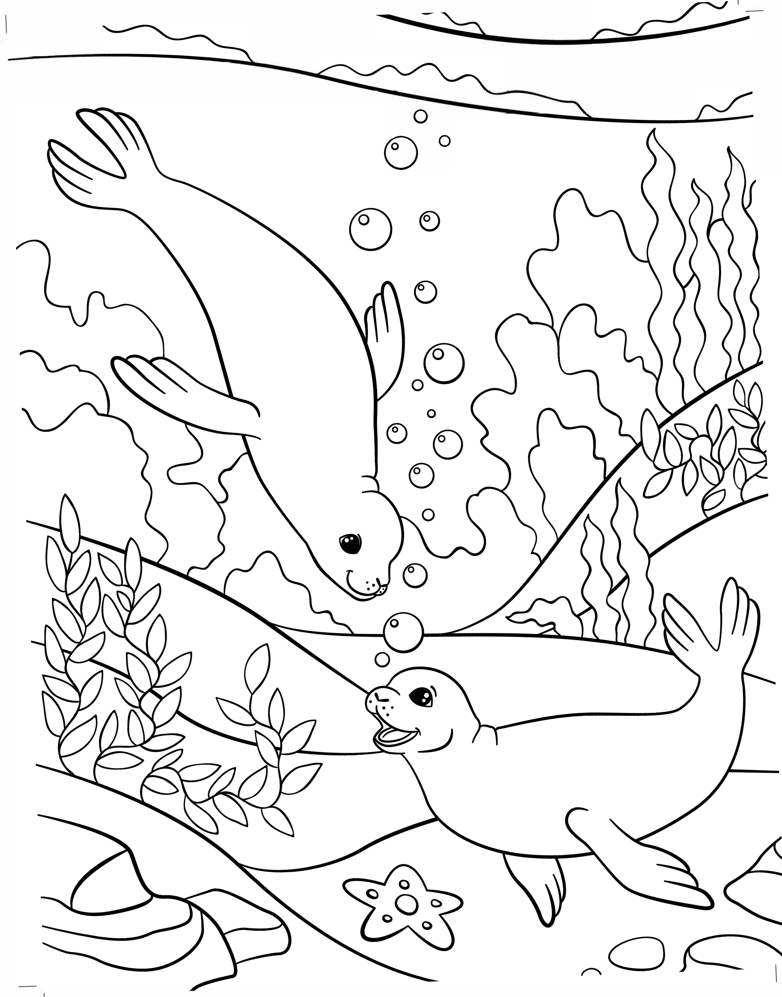 Material for Caregivers and Educators — Alaska Children's Trust